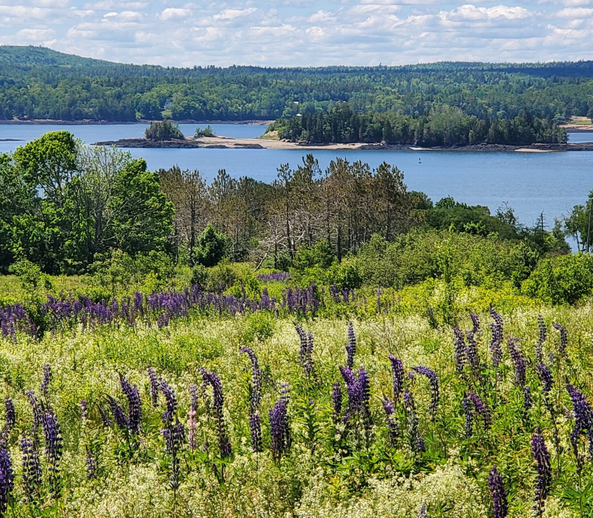 Saint Croix Island - Historic Places Days