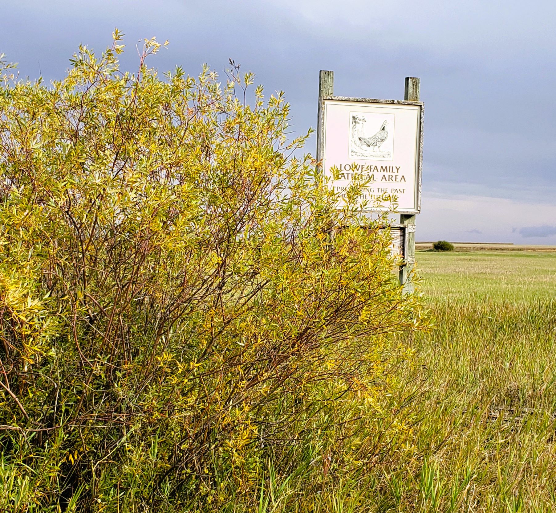 Lowe Family Natural Area - Historic Places Days