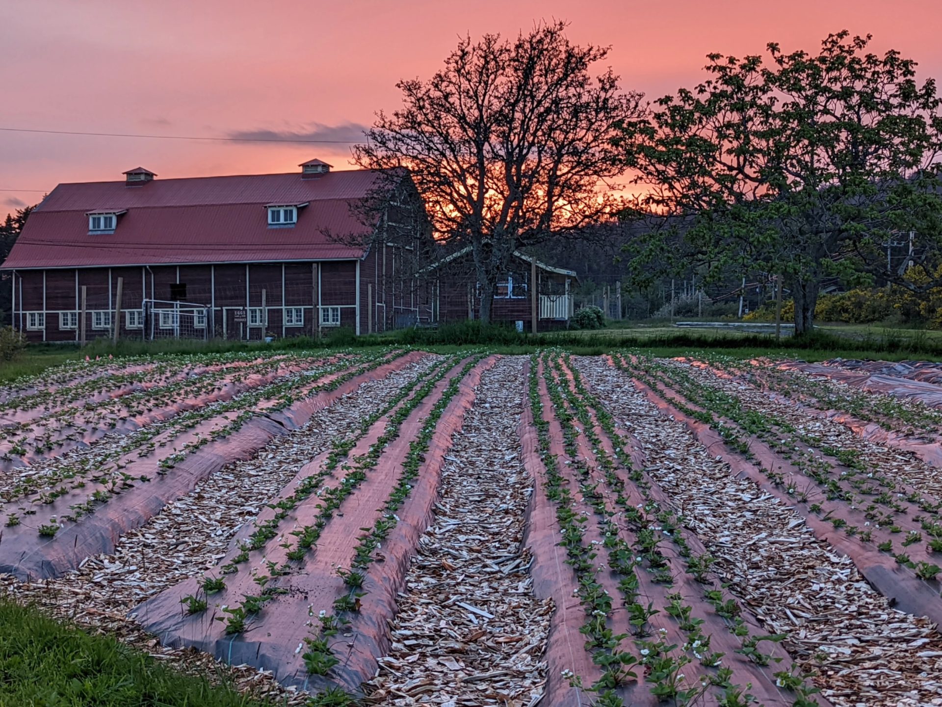 Woodside Farm - Historic Places Days