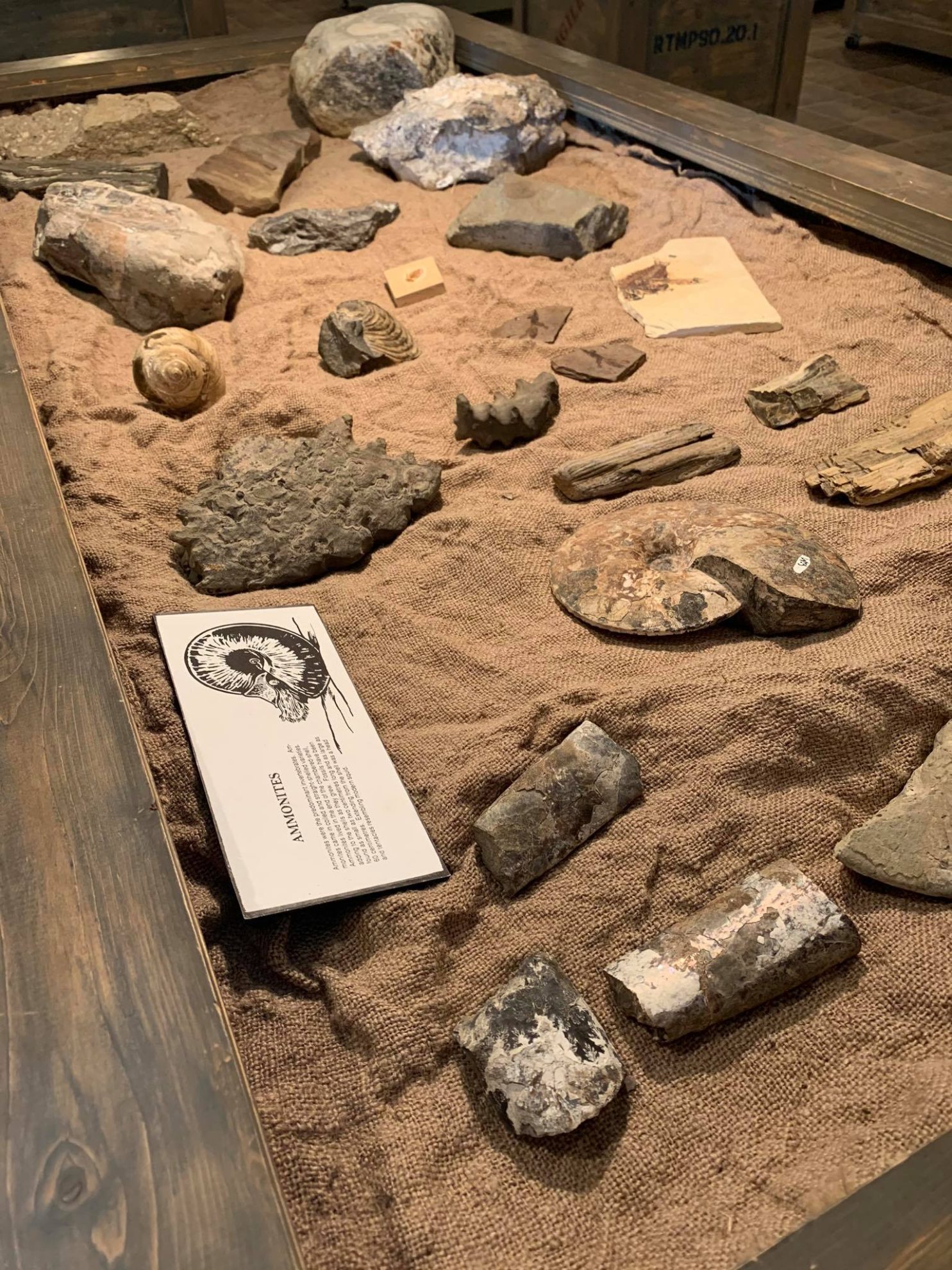 Museum Summer Camp - Historic Places Days