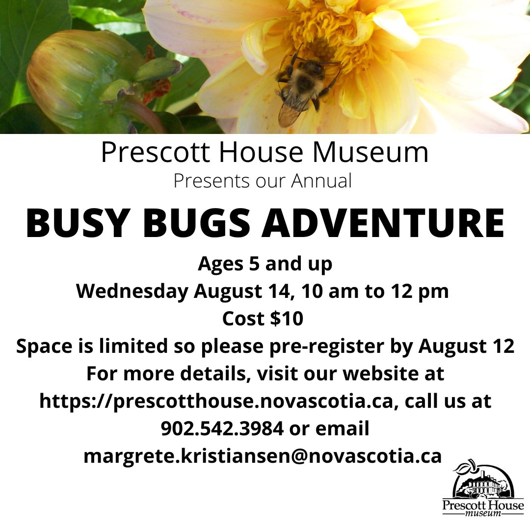 Busy Bugs Workshop - Historic Places Days